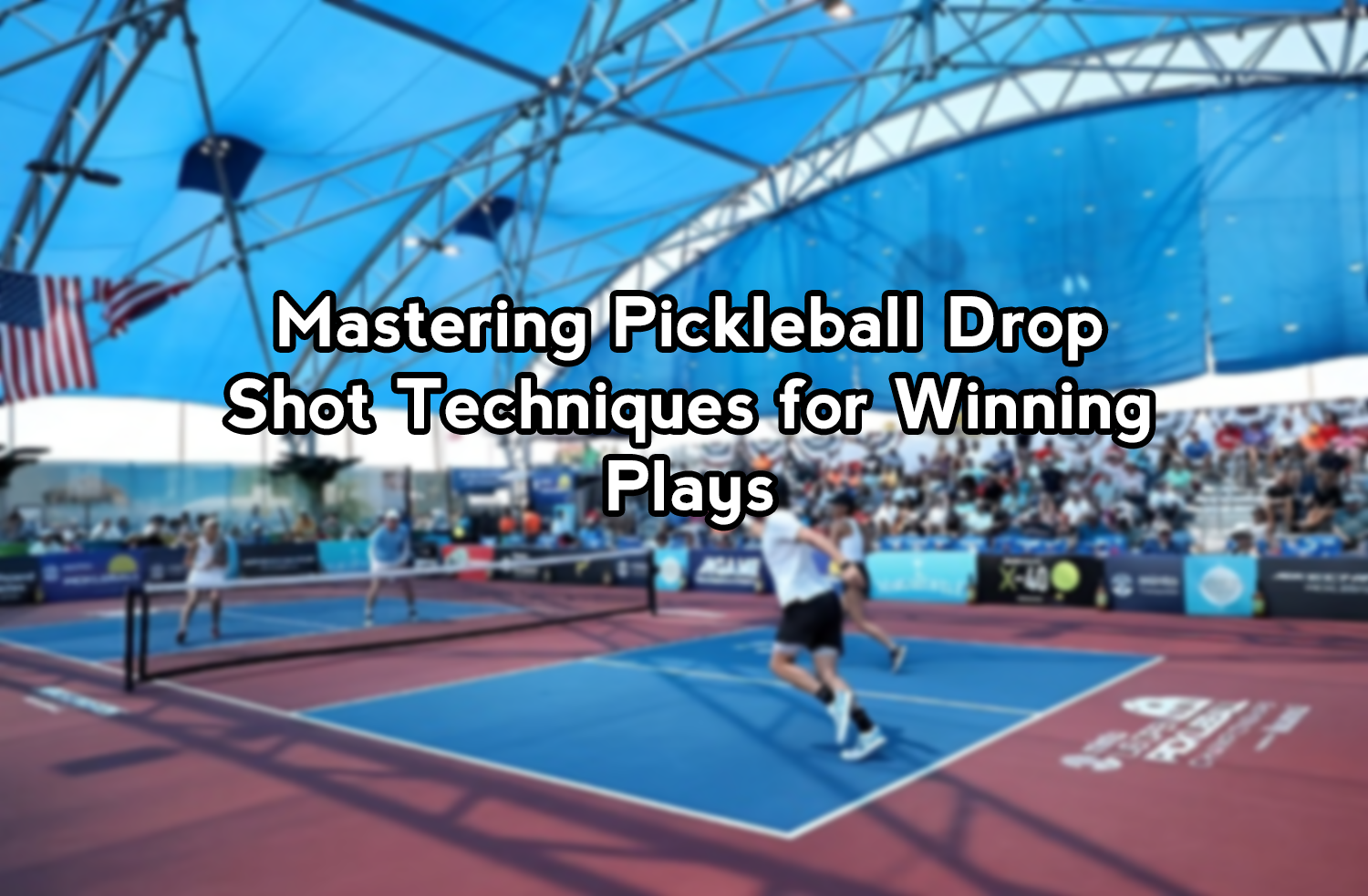 Mastering Pickleball Drop Shot Techniques for Winning Plays | The Skilled Pickle